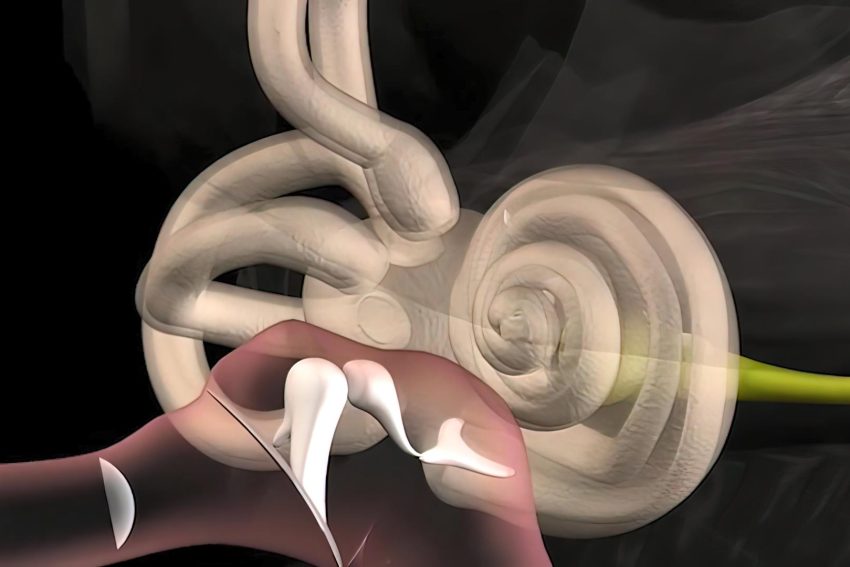 The Hearing & Dizziness Clinic – Hearing Care is Health Care